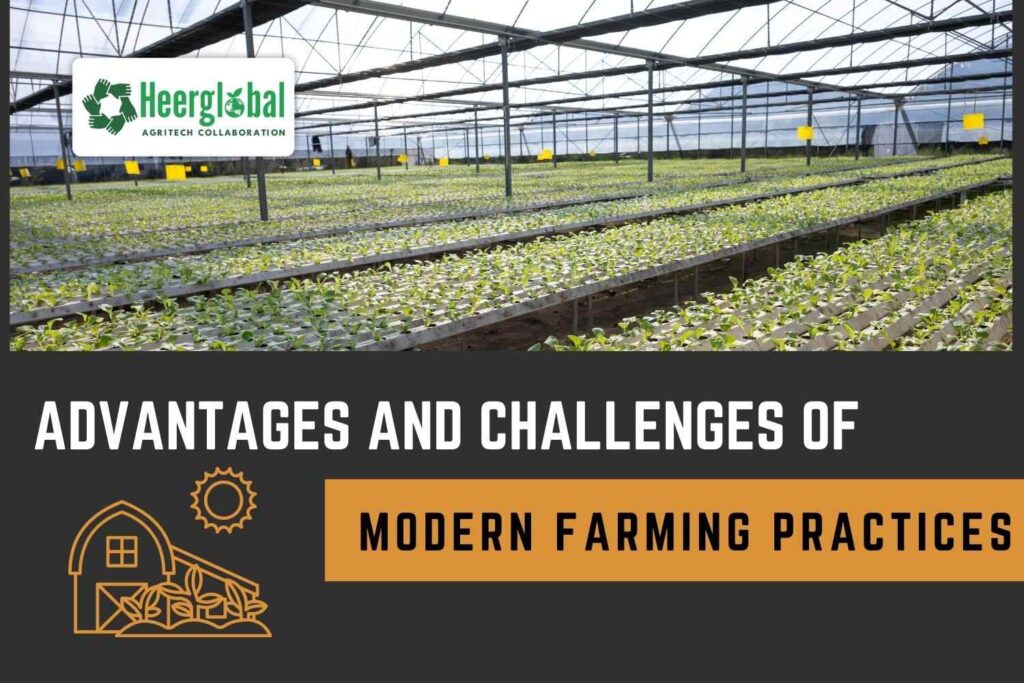 Advantages and Challenges of Modern Farming Practices
