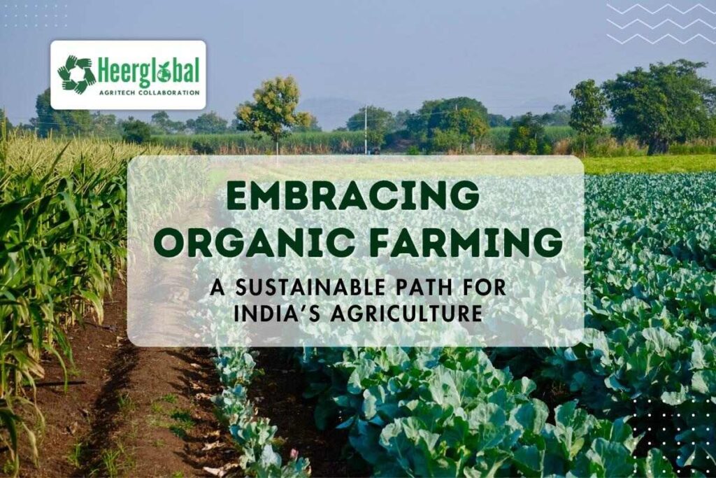 Embracing Organic Farming: A Sustainable Path for India's Agriculture