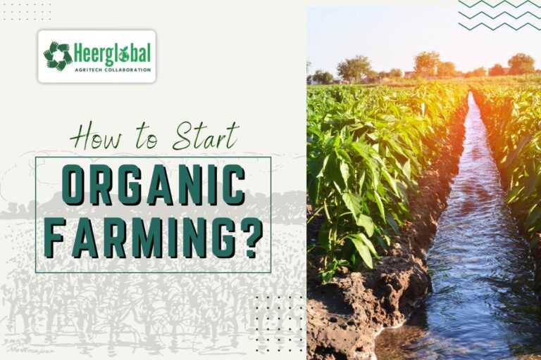 How to Start Organic Farming?