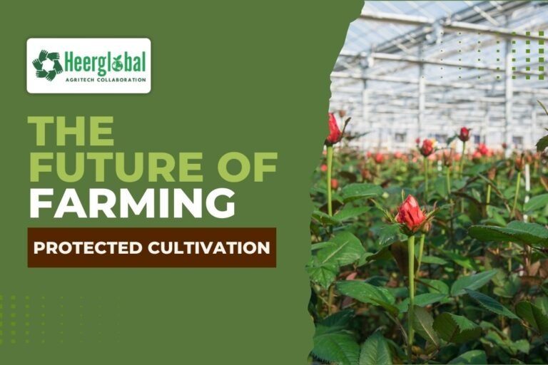The Future of Farming with Protected Cultivation
